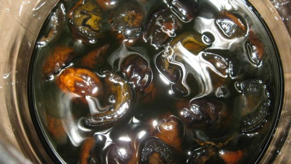 ORAHOVAČA: Rakija od zelenih oraha, dobra za želudac